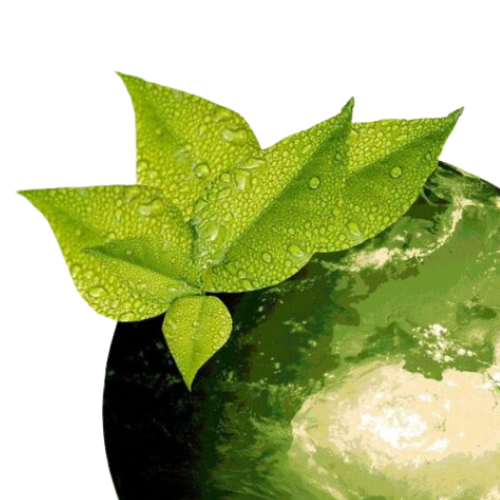 GitHub - MetaMorphys/EucalyptusPool: Eucalyptus Cardano stake pool