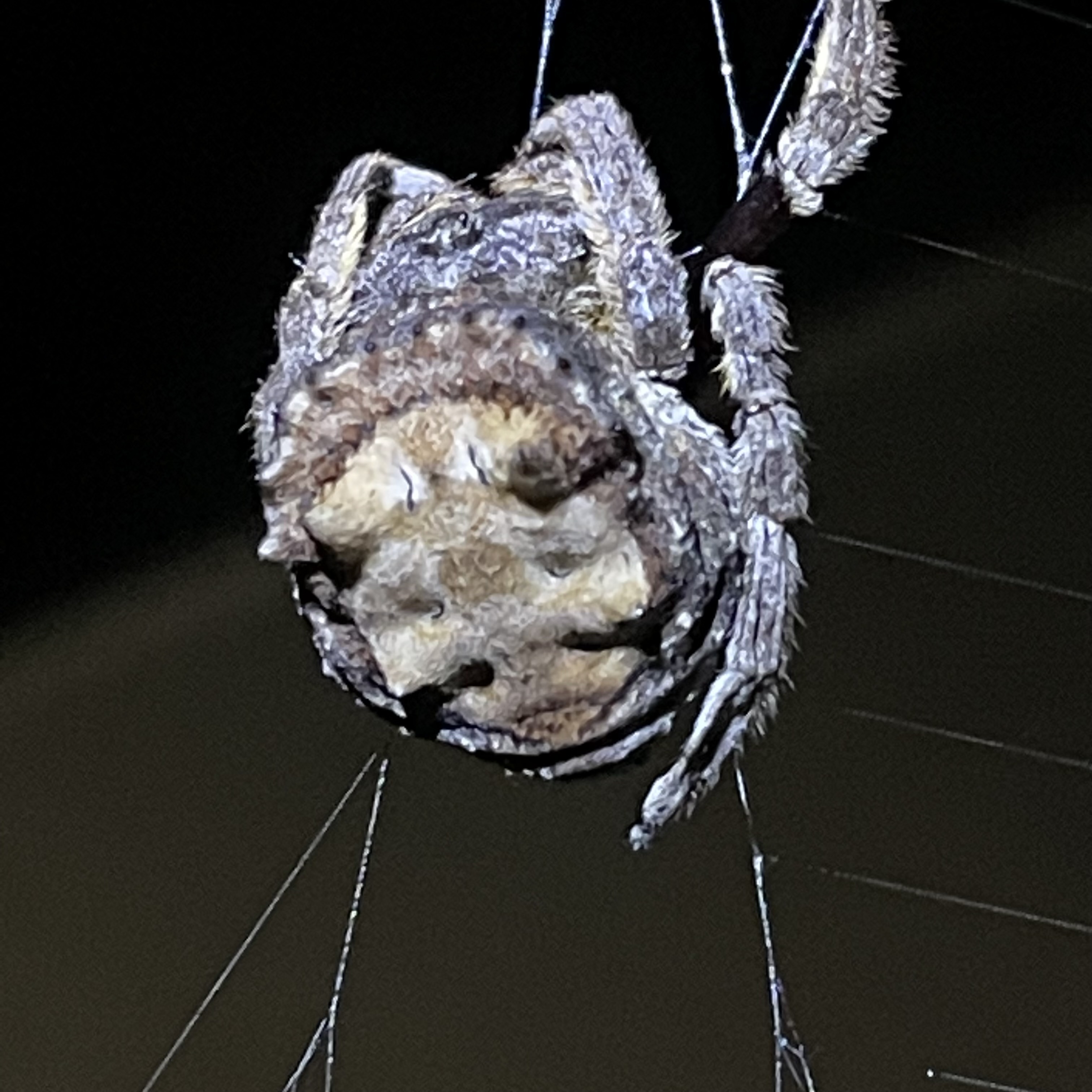 GitHub - Kidsacode/kidsacode.github.io1