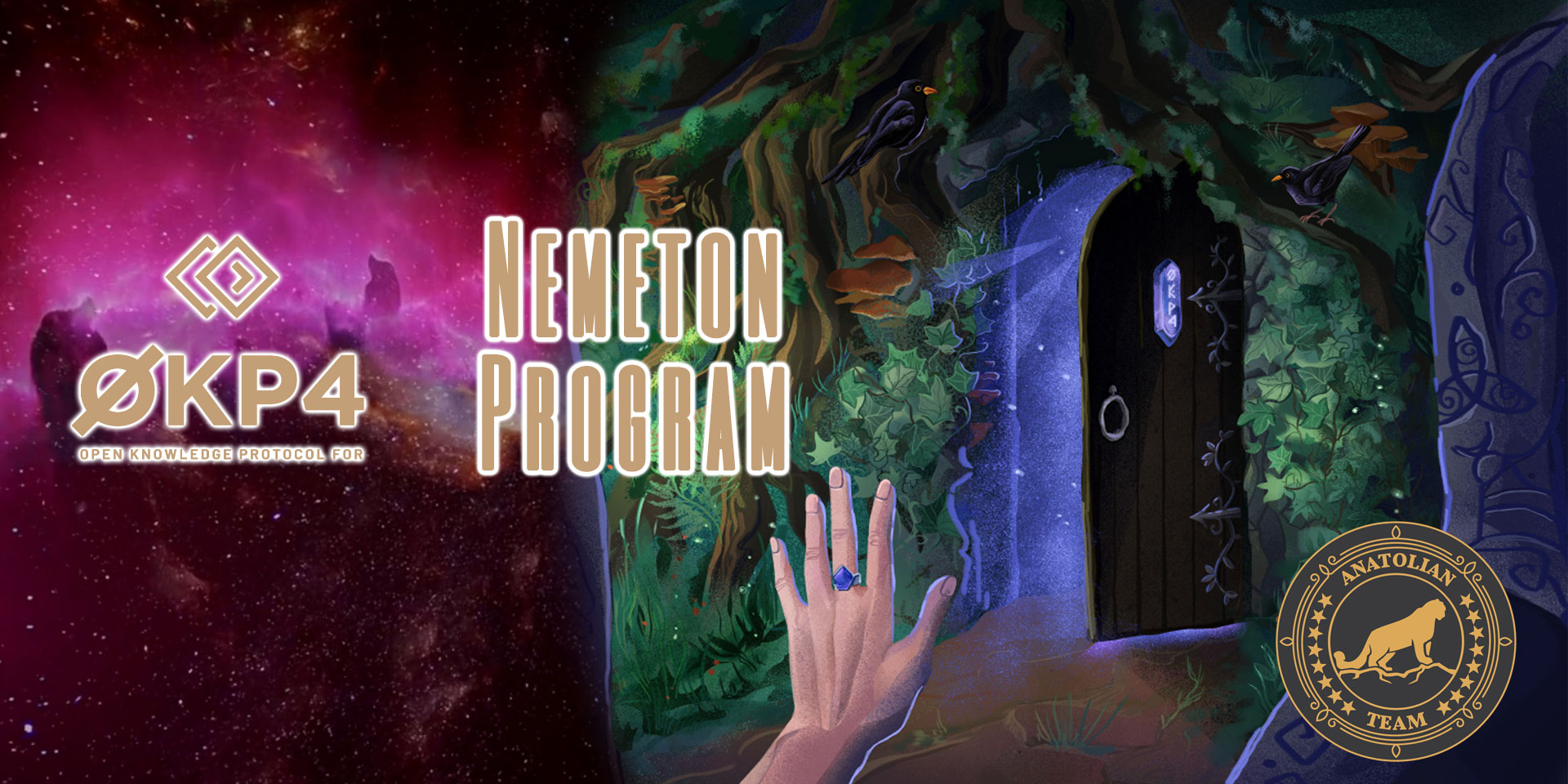 GitHub - AnatolianTeam/OKP4-Nemeton-Program: Everything is about OKP4 Nemeton Program