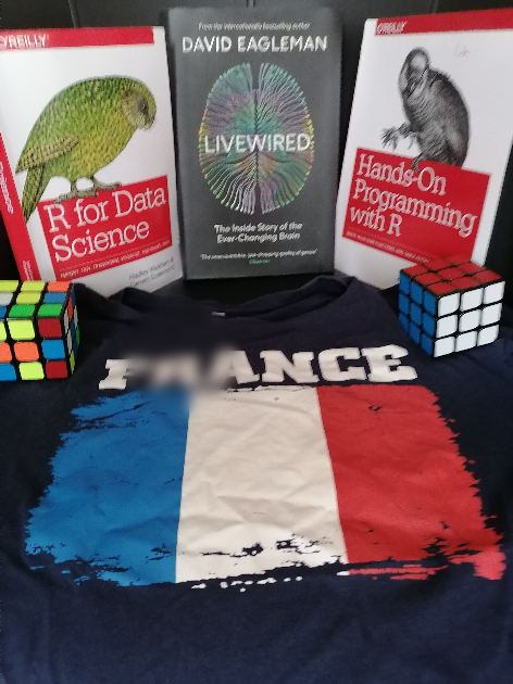 GitHub - abooao/French-Learning-R-Programming