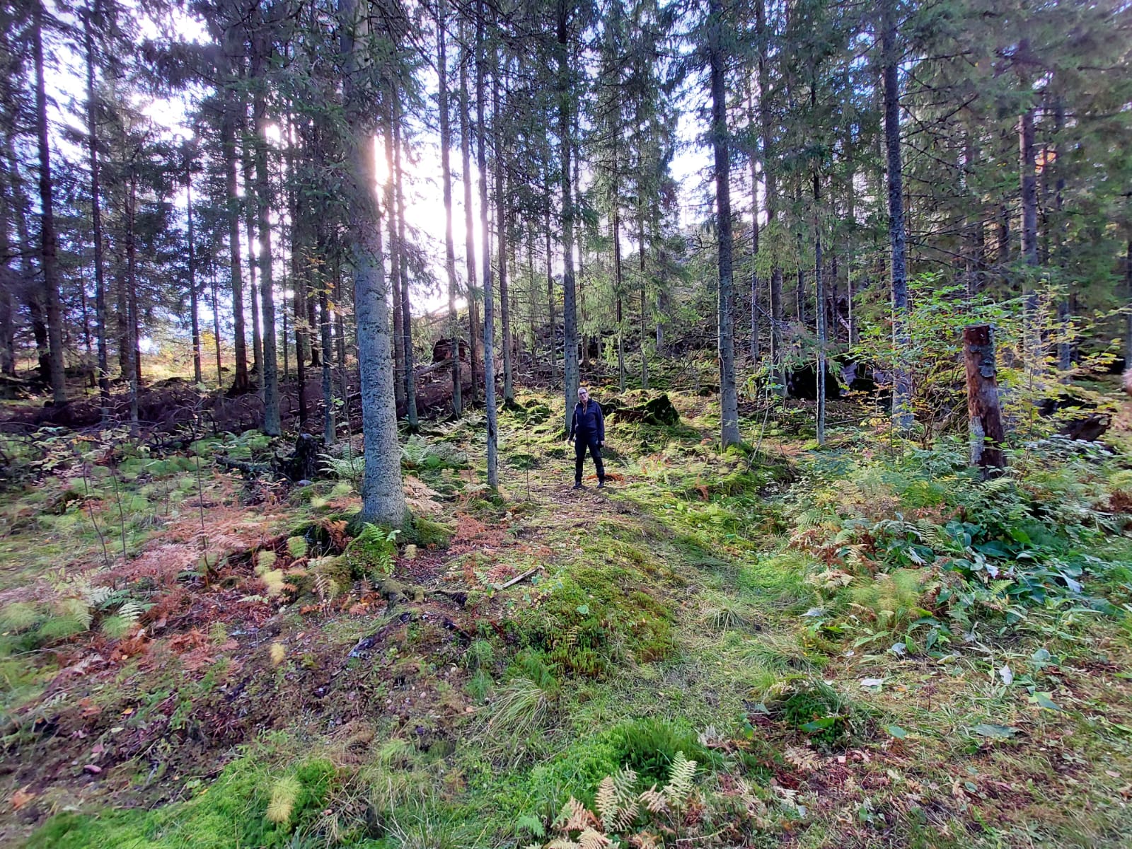 GitHub - heidi-holappa/heidi-holappa