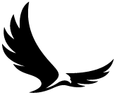 GitHub - hishamdalal/Dev-Eagle: Web Development Starter via Vite