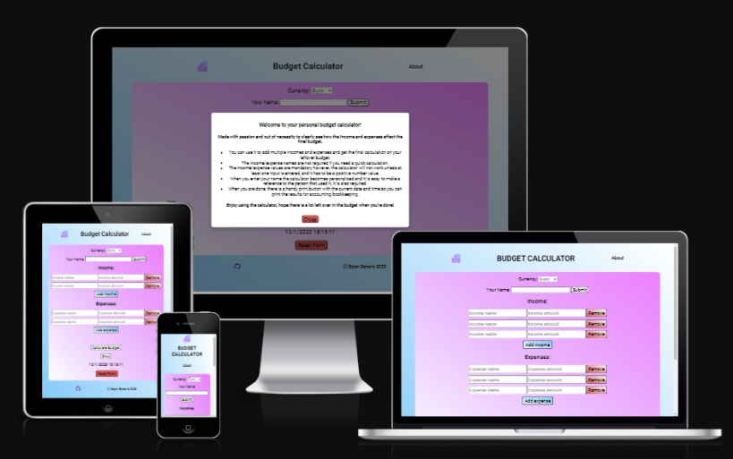 GitHub - Boiann/budget-calculator: Project 2 for Code Institute Full-stack development program ...