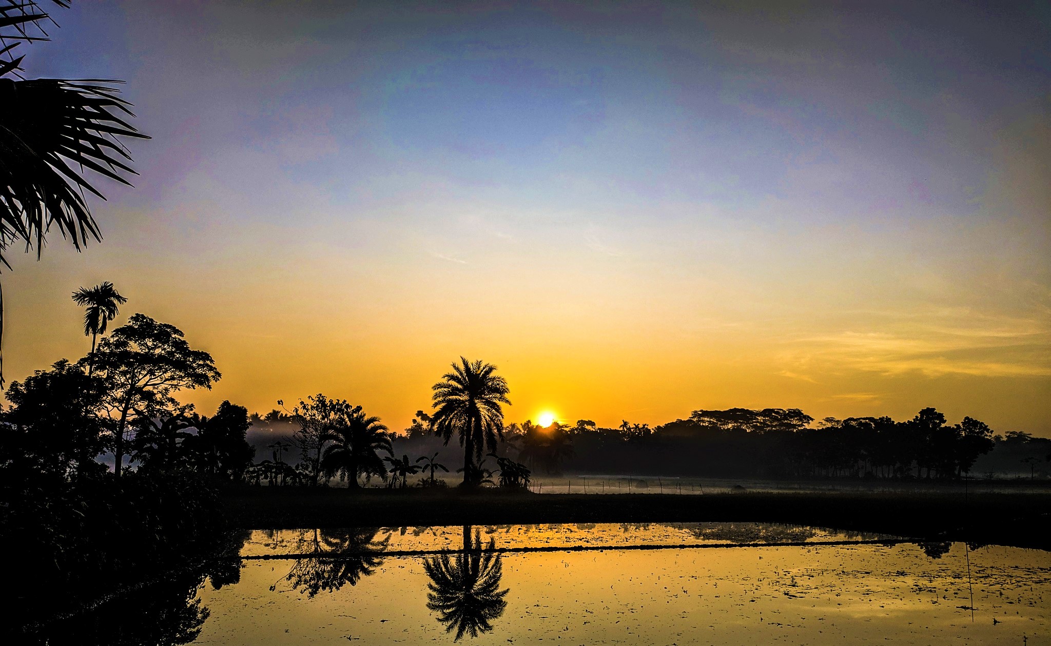 GitHub - sayful-abit/My-Portfolio: Insha-Allah I will Complite this project