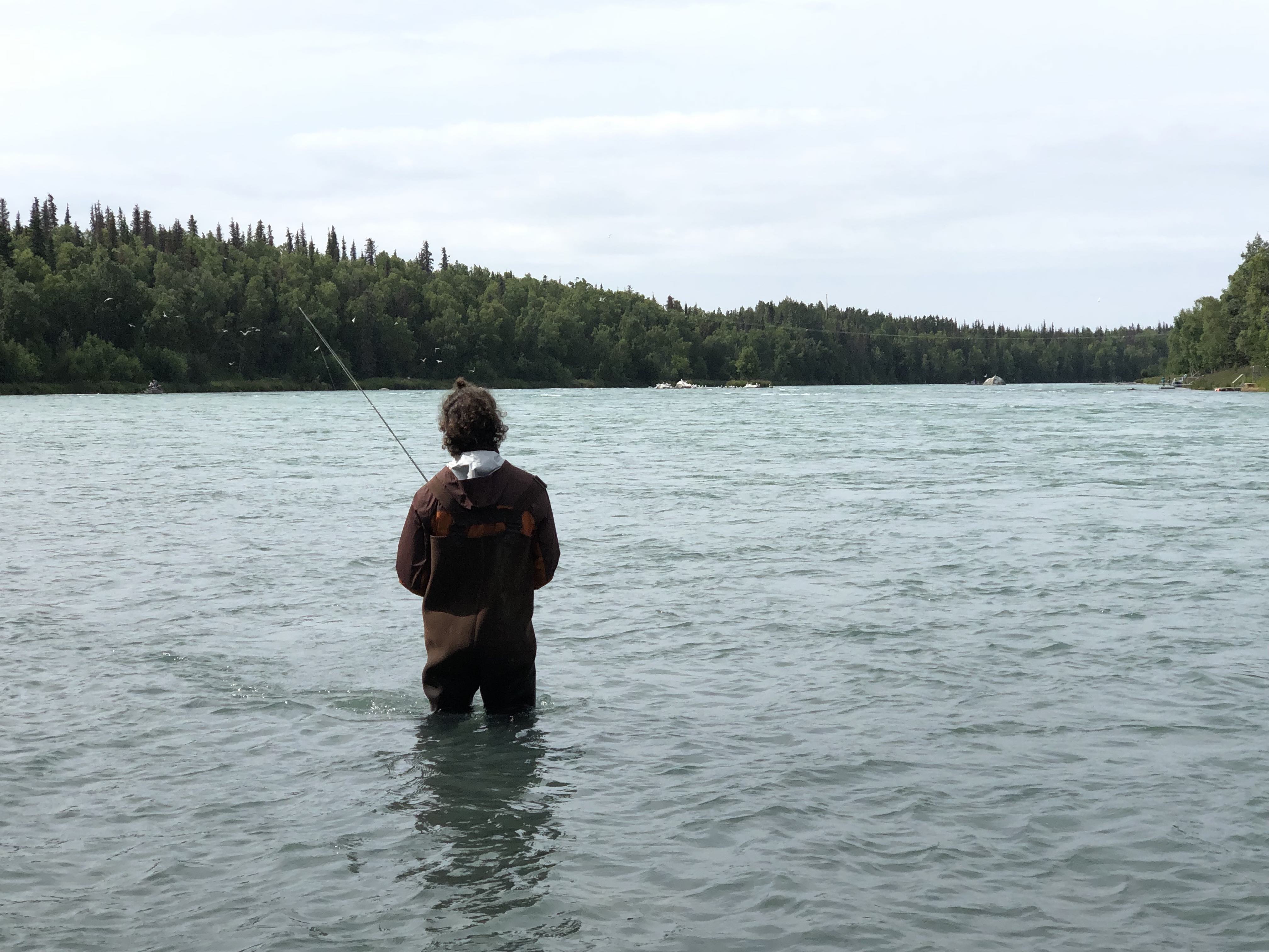 GitHub - maxwellja/SALMONQUEST: A data extraction, cleaning, and analysis of salmon run numbers ...