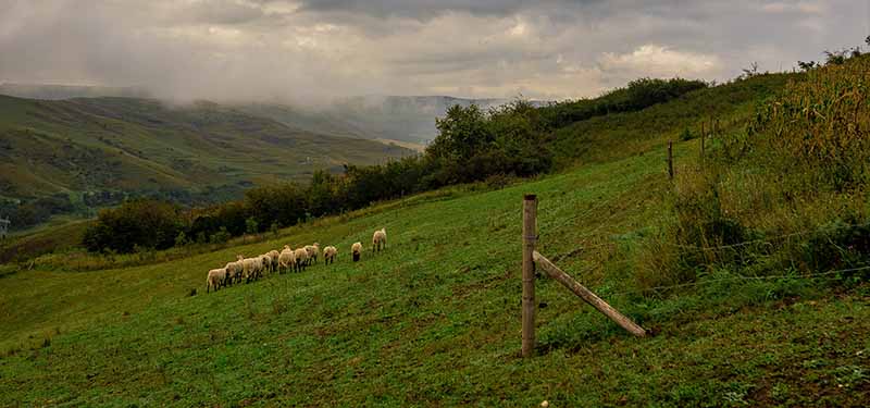 GitHub - creare-site/binistelamunte.ro: BinisteLaMunte - Proiect Turistic | WebsiteMarket