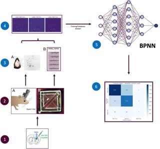 GitHub - konkalaitzidis/bpnn: Code for the Behaviour Prediction Neural ...