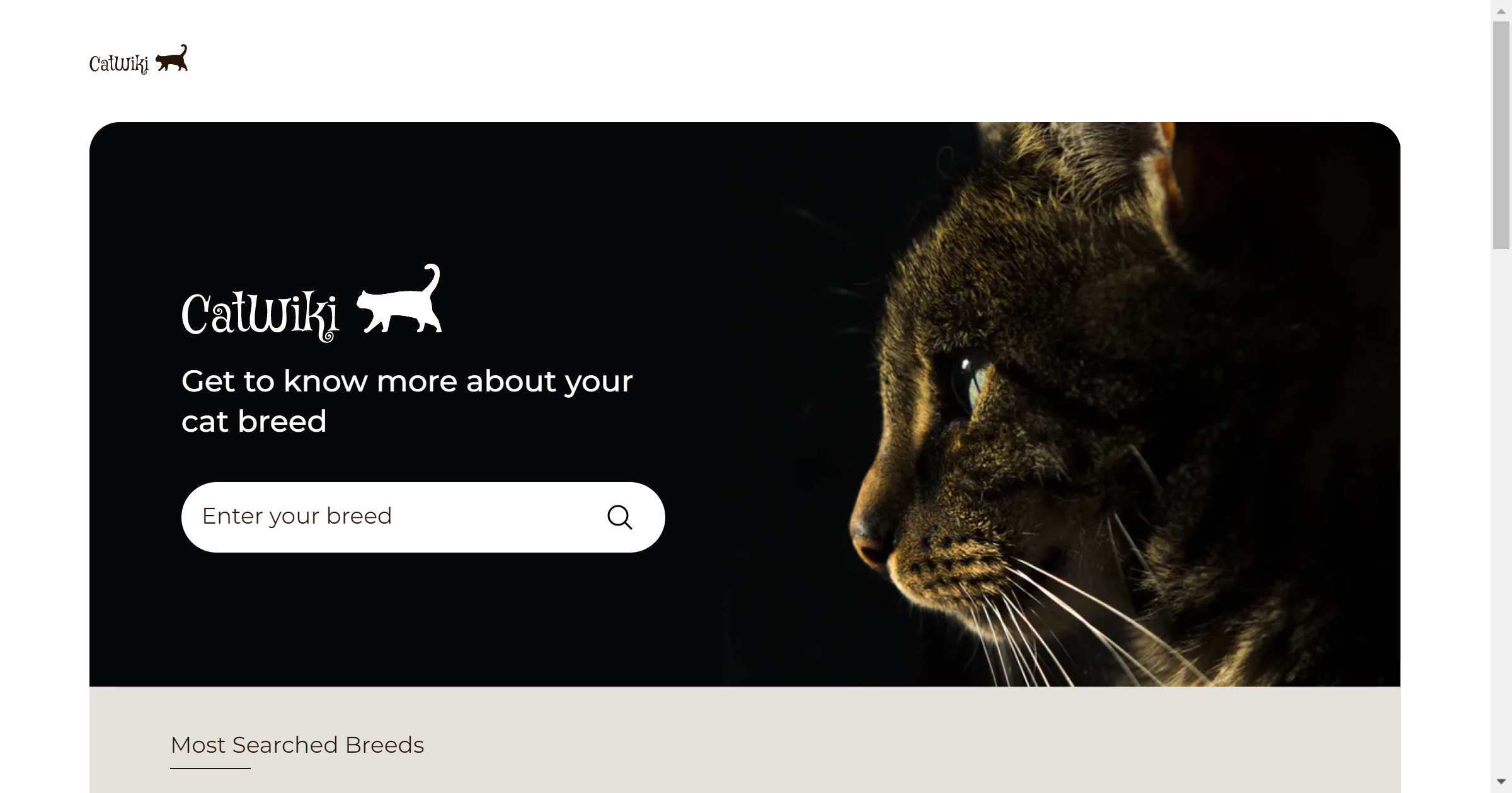GitHub - AlbertSigsbert/CatWiki