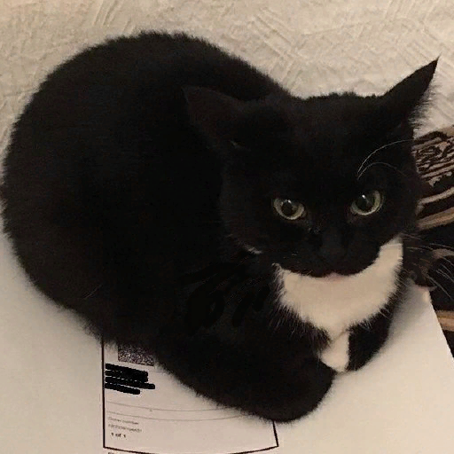 GitHub - ValsAerospace/maxwell: maxwell