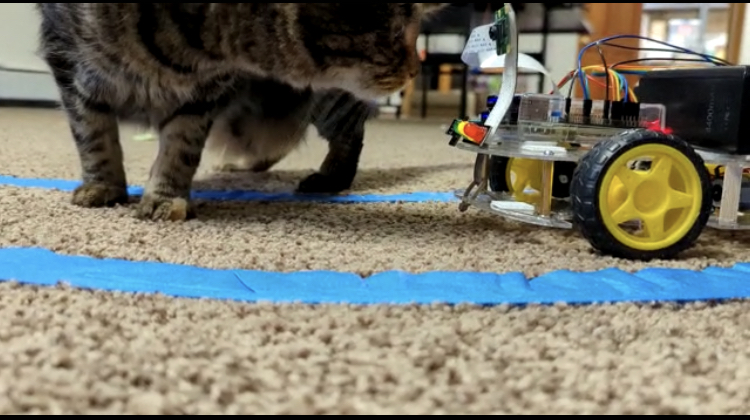 self-driving-car · GitHub Topics · GitHub