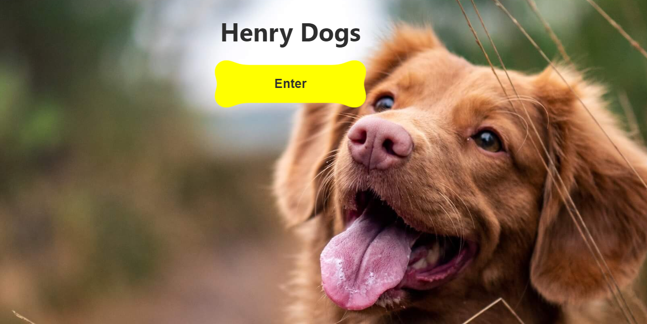 GitHub - walternomas/henry-dogs-client: Frontend PI Dogs
