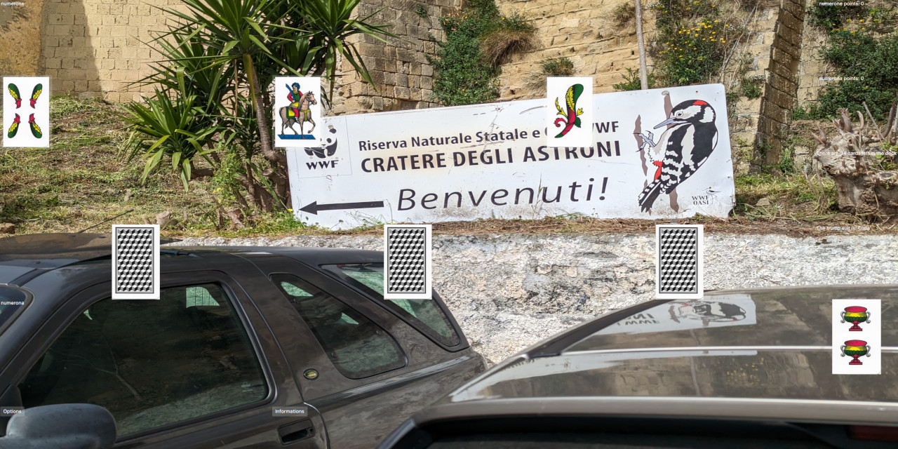 GitHub - GiulianoSpaghetti/CBriscola.Avalonia: La briscola in Avalonia