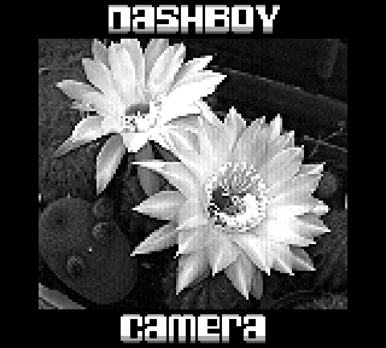 GitHub - Raphael-Boichot/Mitsubishi-M64282FP-dashcam: The DashBoy Camera, a 8-bit digital camera ...