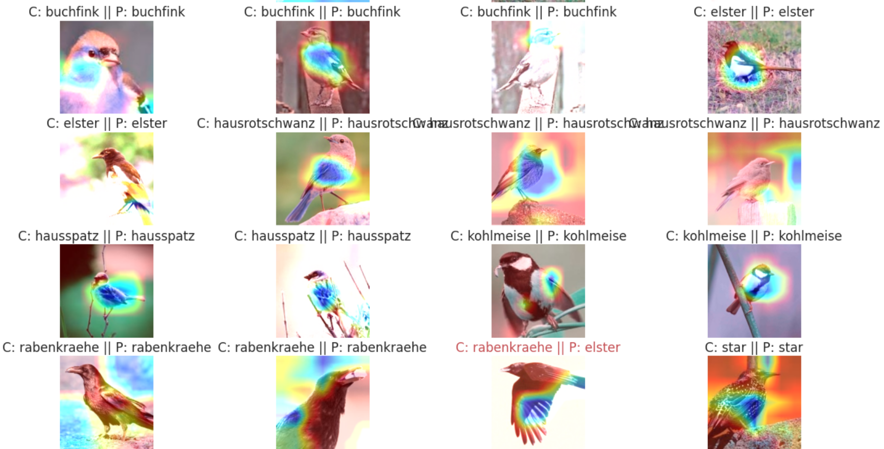 GitHub - caminada87/CommonSwissBirds: Computer Vision Project