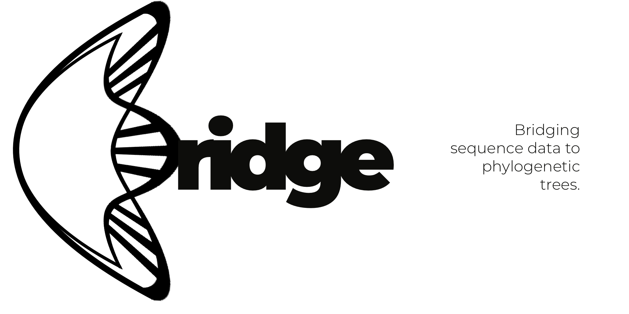 GitHub - ashenafee/Bridge: An evolutionary biology analysis suite bridging sequence data to ...