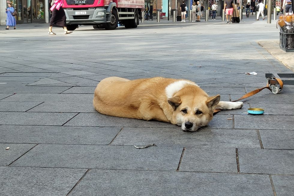 GitHub - gibanator/georgii_gibizov_tasks