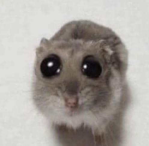 GitHub - KuroHere/InfinityLoop