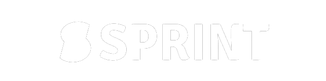 GitHub - hidanscript/sprintjs: A light-weight typescript backend framework