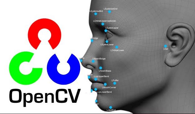 Github Franciscoferraraopencv Python Tim