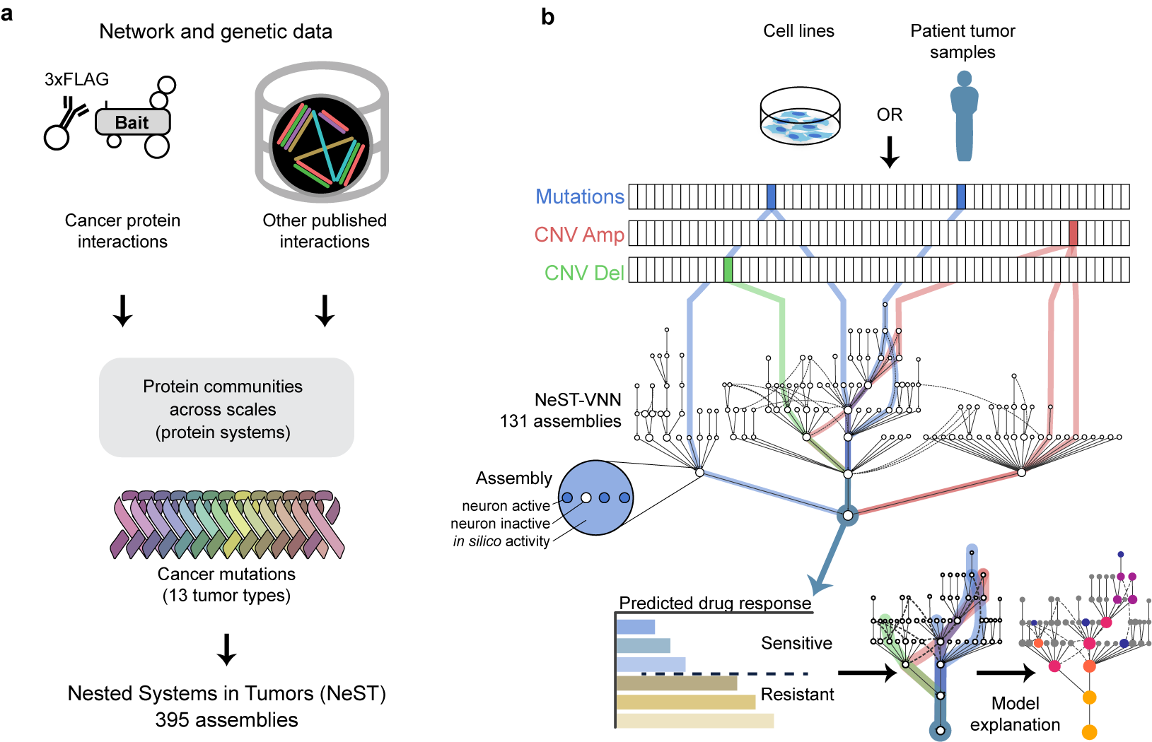 GitHub - idekerlab/nest_vnn: NeST-VNN repo
