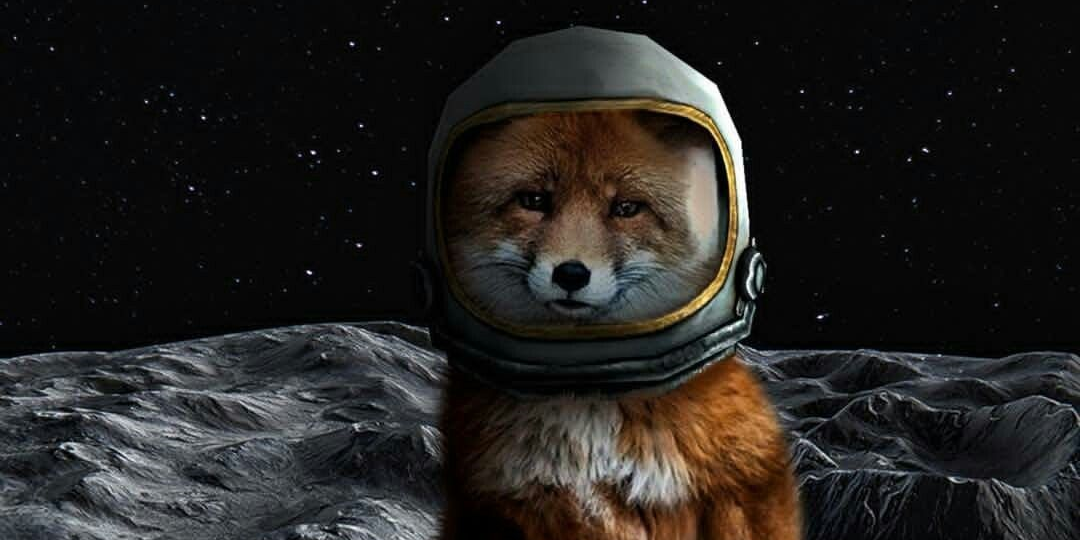 kramdown · GitHub Topics · GitHub