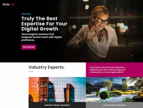 GitHub - Nashiuz-Zaman/WebLab: A sample website for an IT company