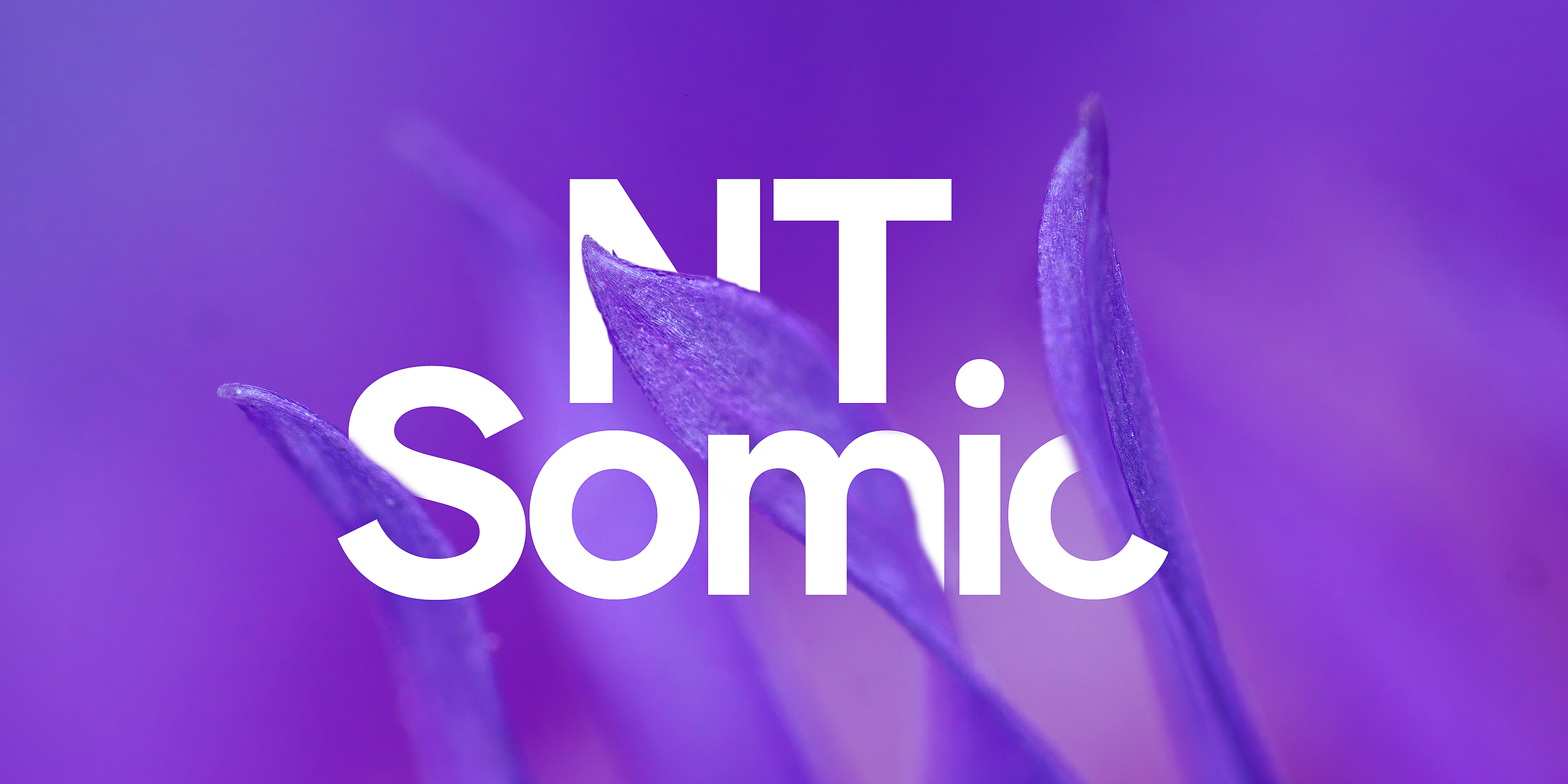 GitHub - nnttttyyppee/NT-Somic: A geometric sans serif typeface