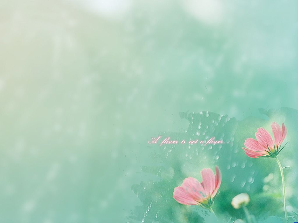 GitHub - hitefork/hitefork.github.io