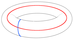 GitHub - Milo-Moses/Toric-Code-Simulator: Mathematical model of quantum ...