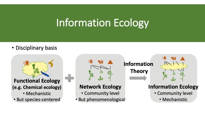 GitHub - InformationEcology/InformationEcology.github.io