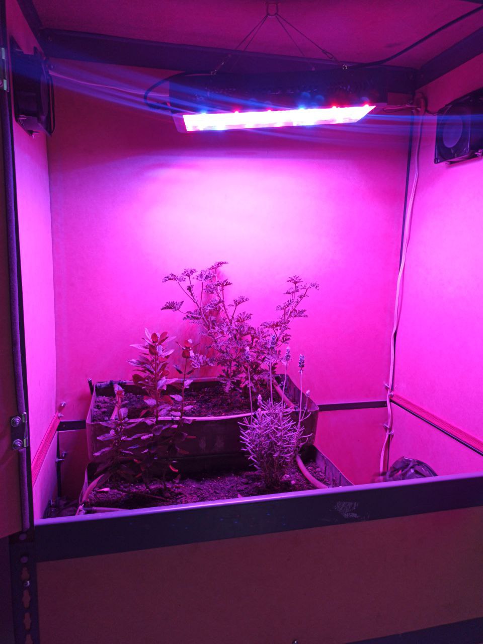 Github Legaspiricardosmartgreenhouse With Arduino Controlled With An Automatic System Of