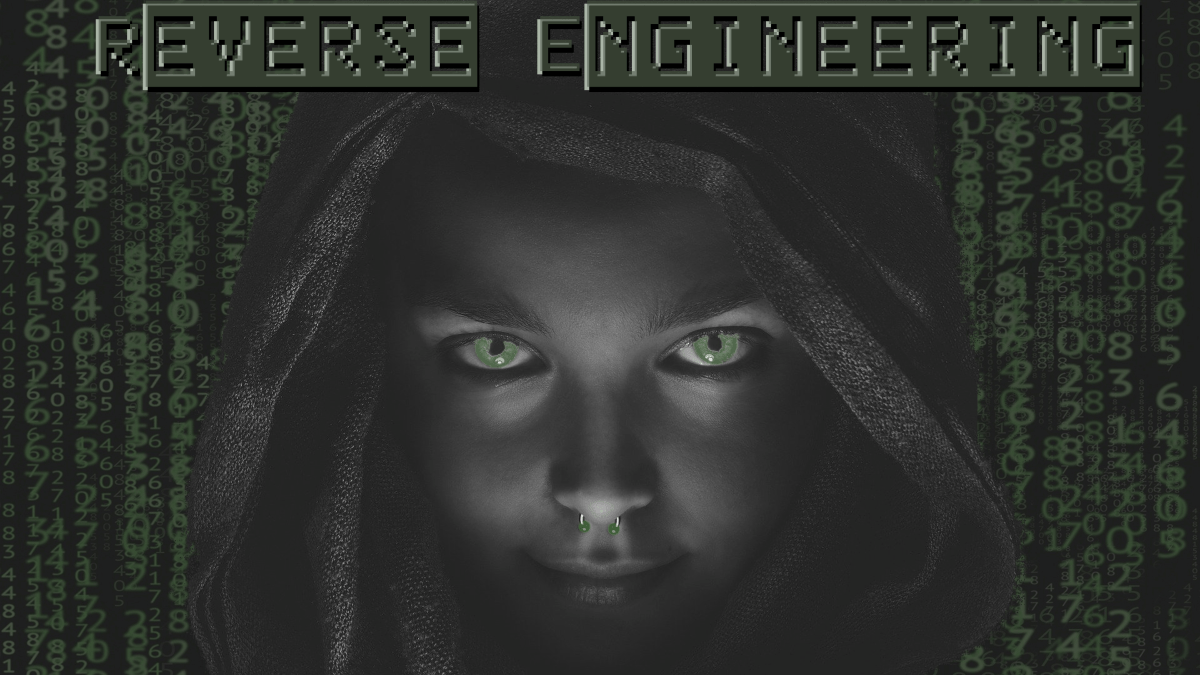 GitHub - mrowrpurr/RE: MP's Reverse Engineering Journey