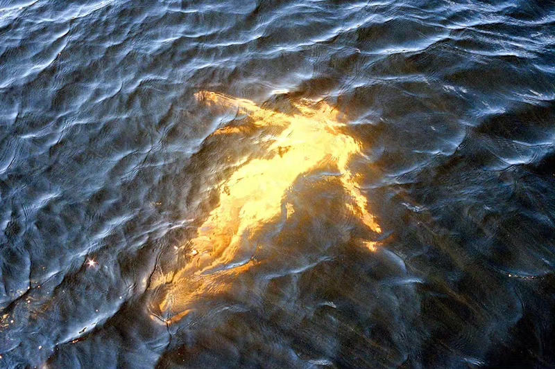 GitHub - TwilightLogic/omnifood-logic: Omnifood project learning from Jonas by Logic