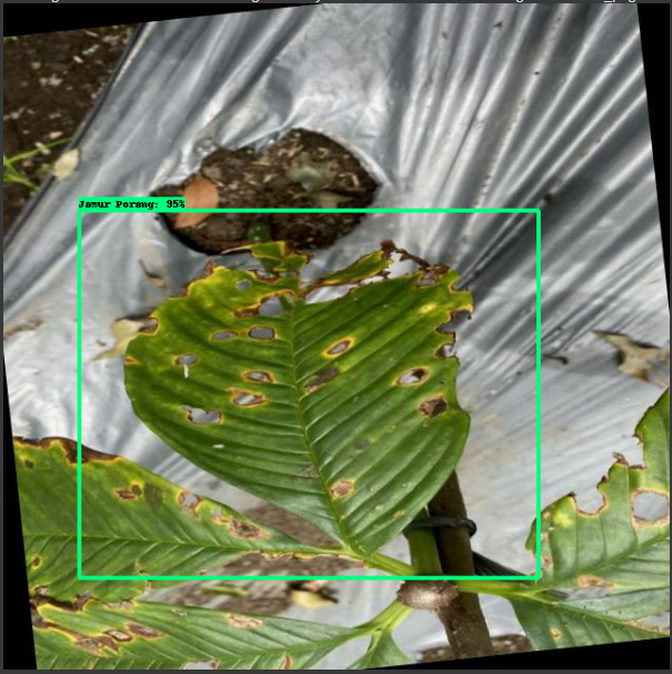 GitHub - FikriFadhlillah/Porangs: Klasifikasi Penyakit Pada Tanaman ...