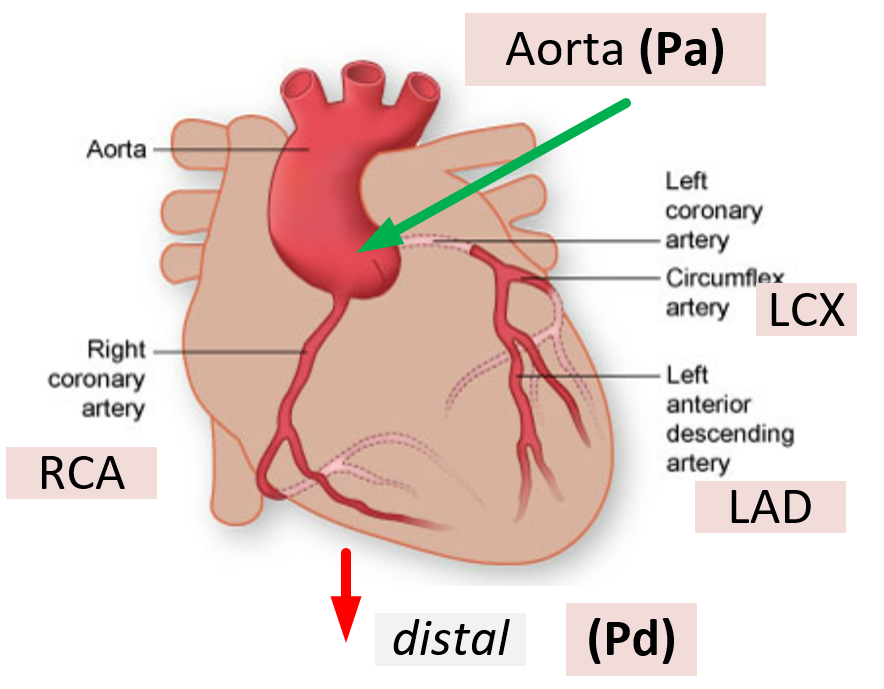 GitHub - vmwong21/FFR_measurement_system