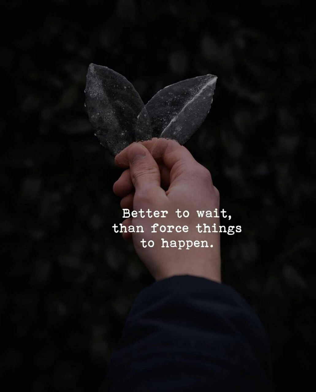 GitHub - ANALYSTROZANA/EMMY