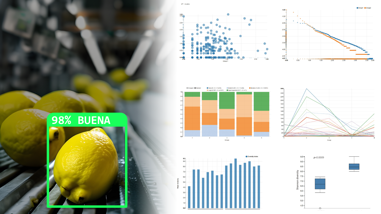 GitHub - Rafdal/mit-dl-course-final-project: Este repositorio contiene los archivos de mi ...