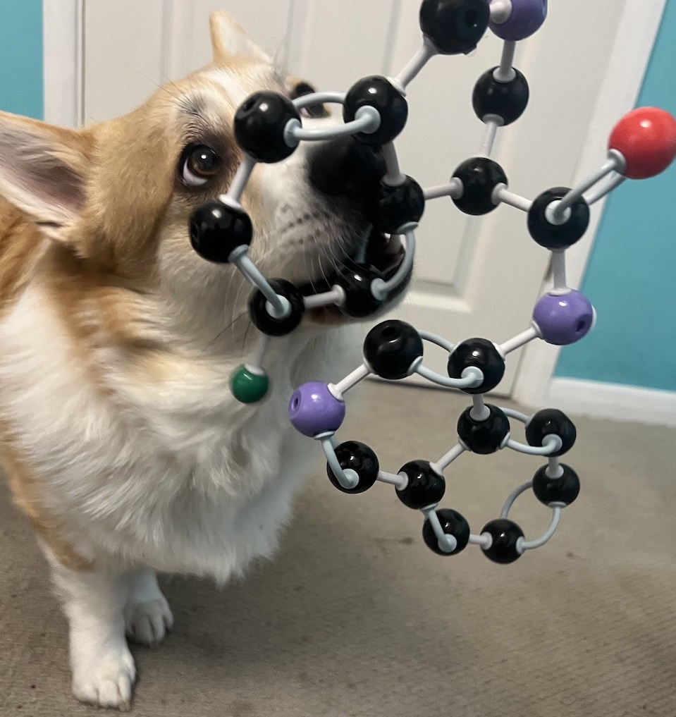 Actions · matteoferla/Wikipedian-compounds · GitHub