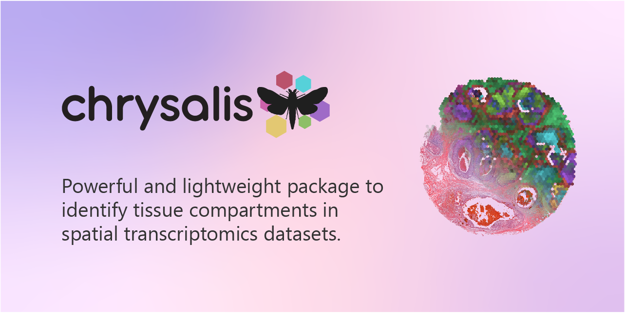 GitHub - rockdeme/chrysalis: Powerful and lightweight package to ...