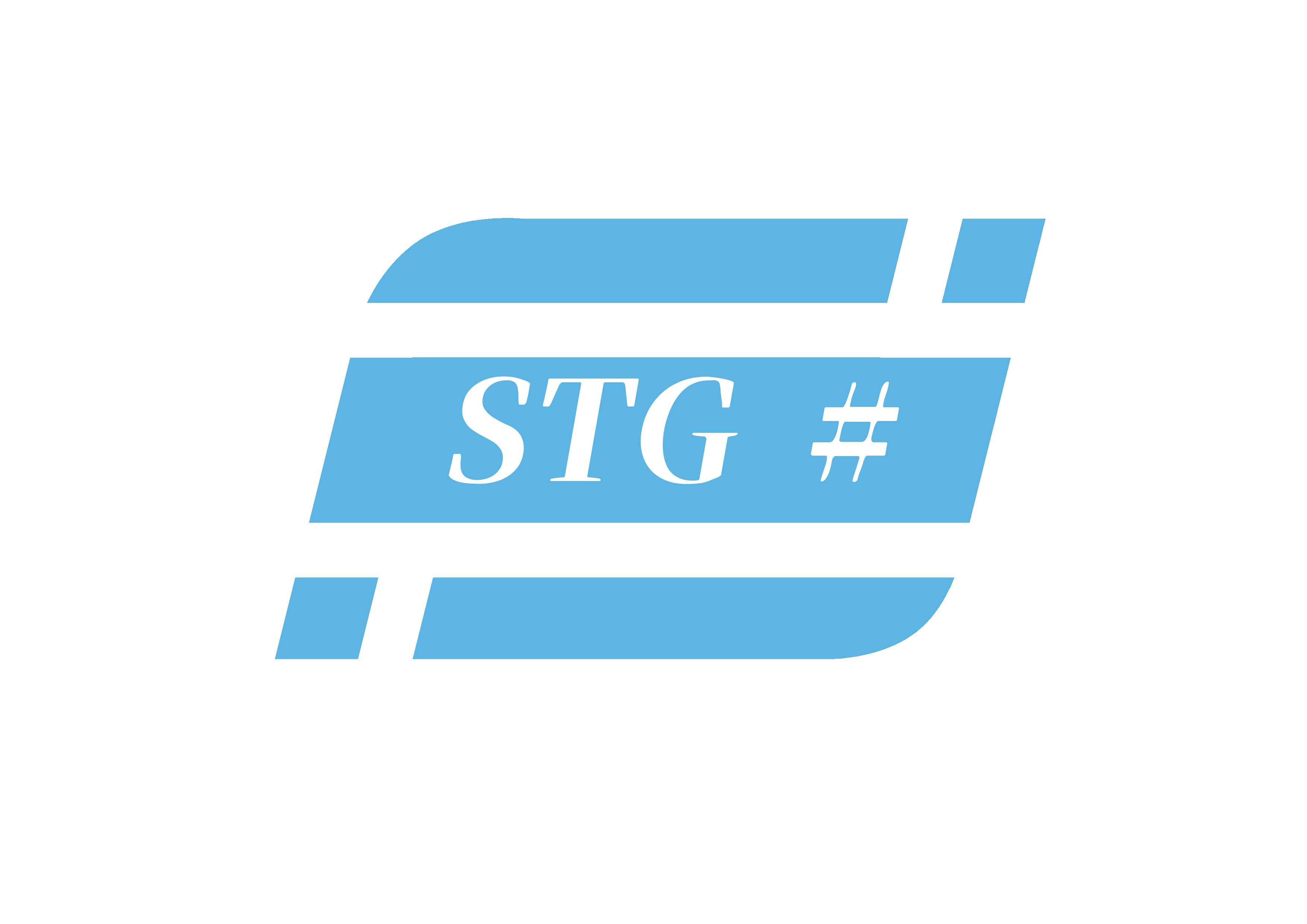 GitHub - Nitload-NSI/StgSharp: An engine for STG games, modeling and beyond