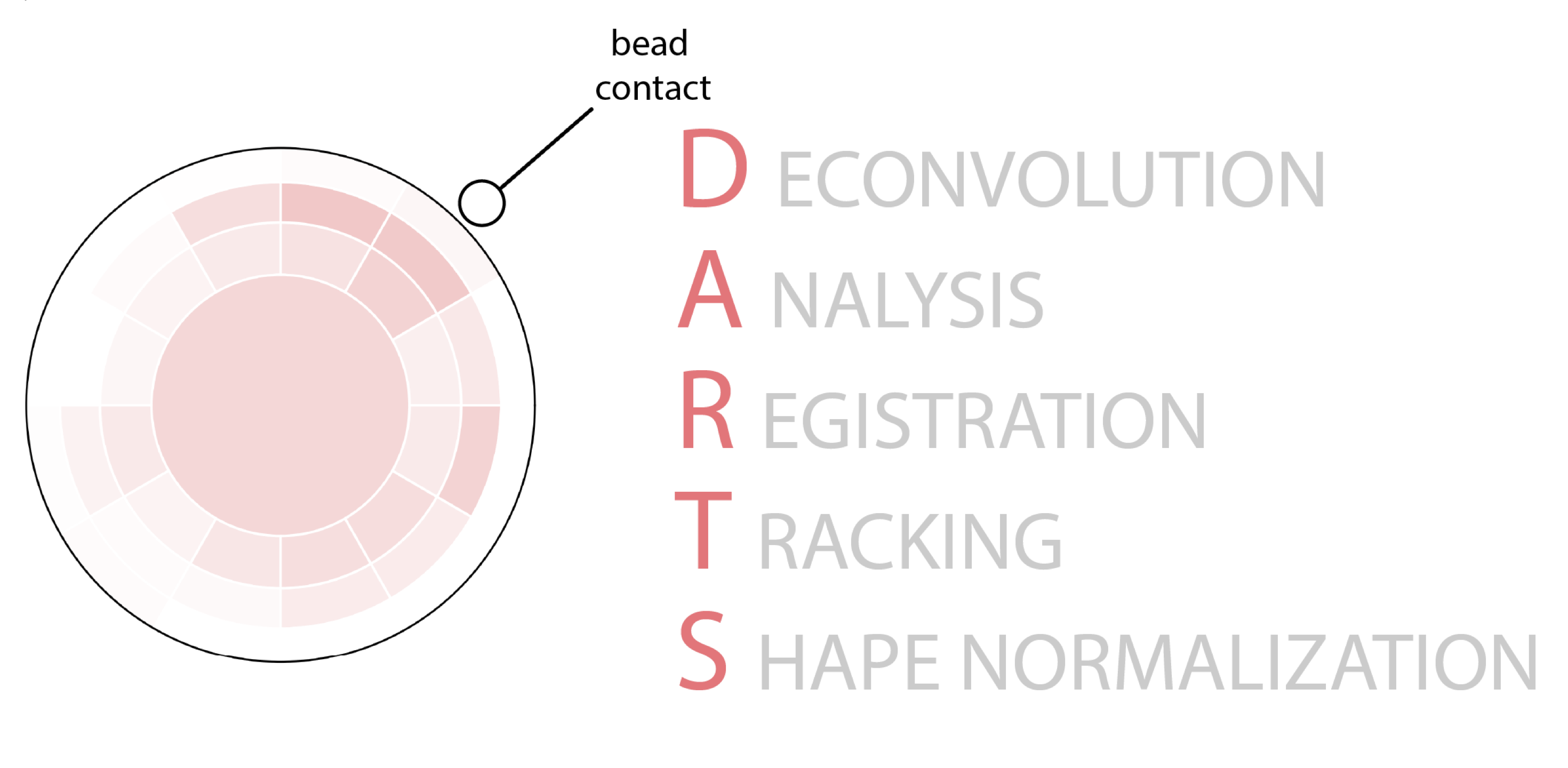 GitHub - IPMI-ICNS-UKE/DARTS: A Ca2+ microdomain analysis pipeline for spatio-temporal ...