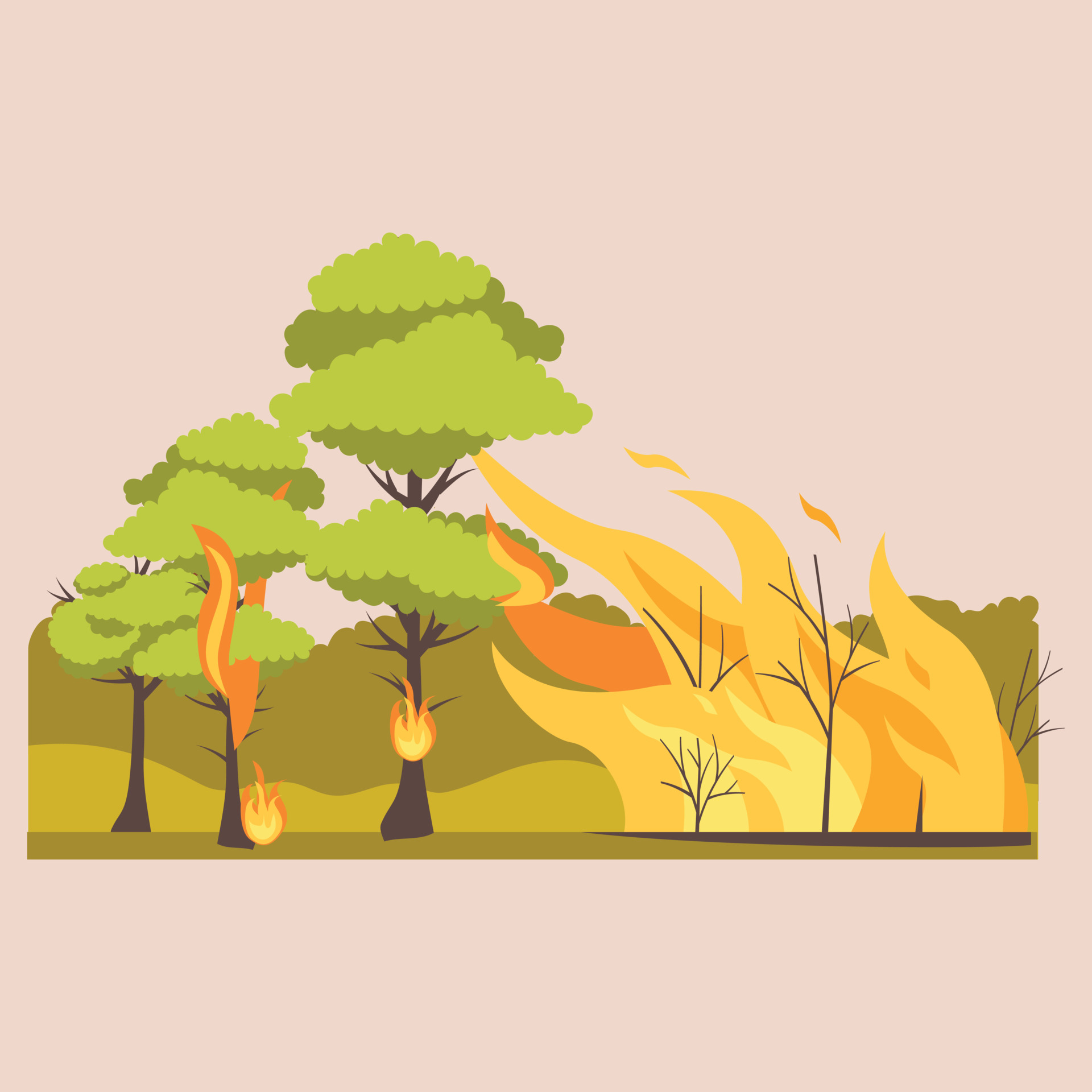 Github Maidacundoreal Time Fire Segmentation Deep Learning Implementation Of A Deep Neural