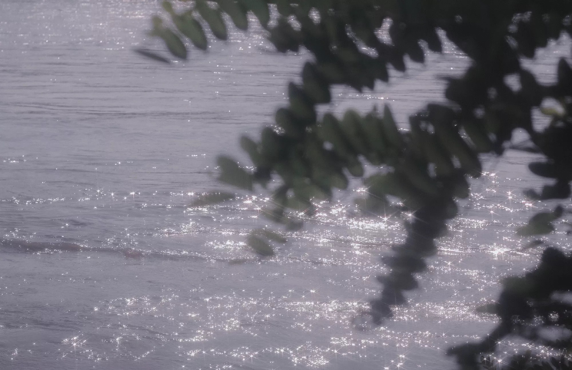 Github Yufeiwang0821 Yufeiwang0821 Github Io Github Pages Template