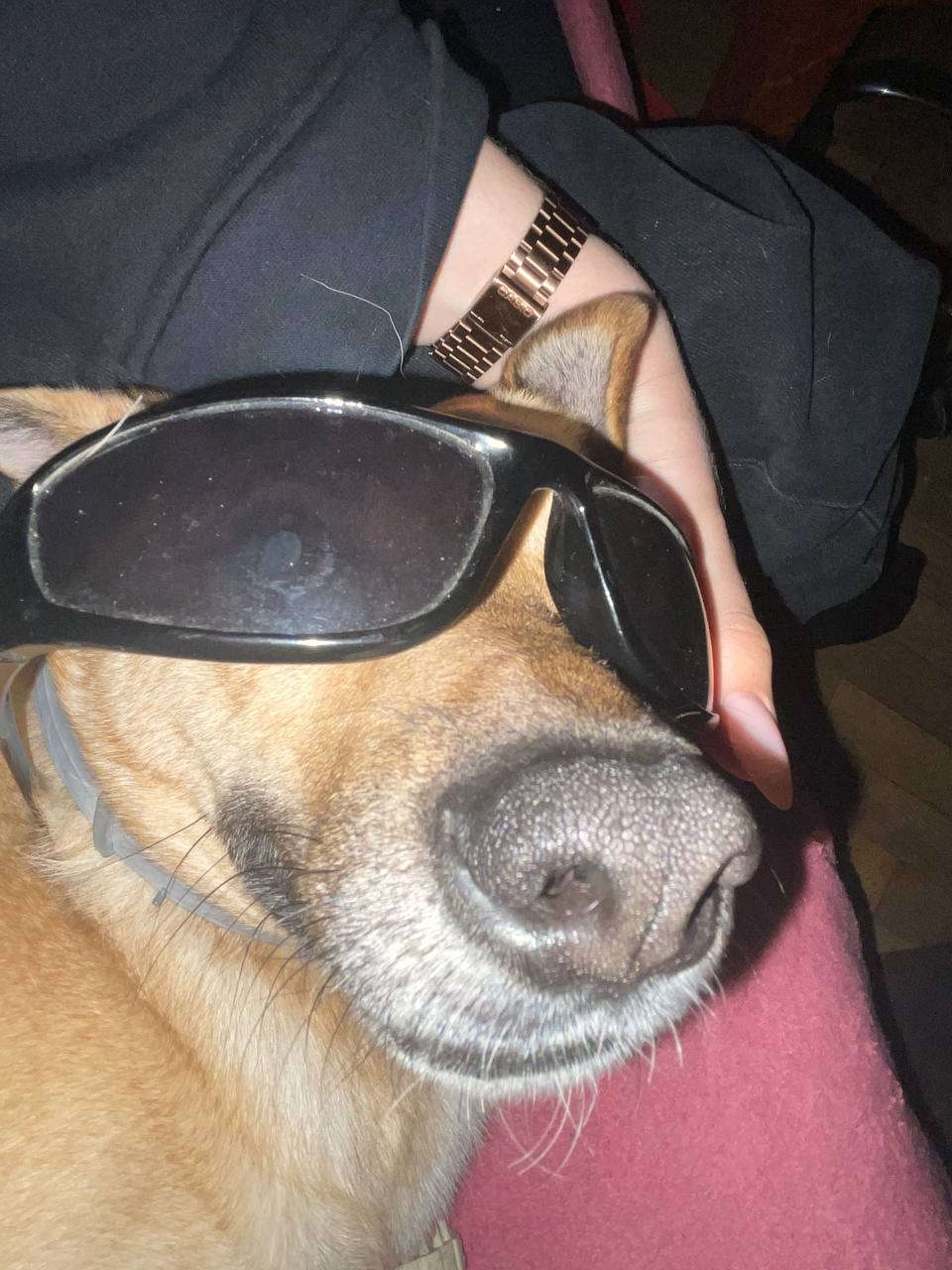 GitHub - MakSou1/myrep