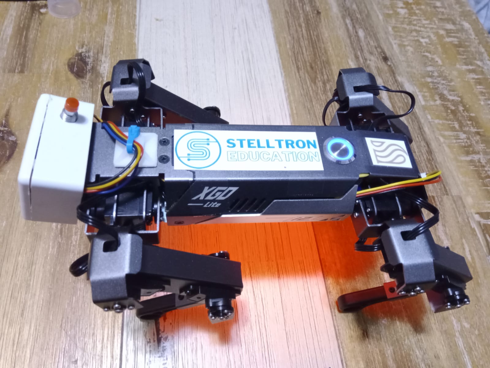 GitHub - Callen-Fisher/XGoESP32