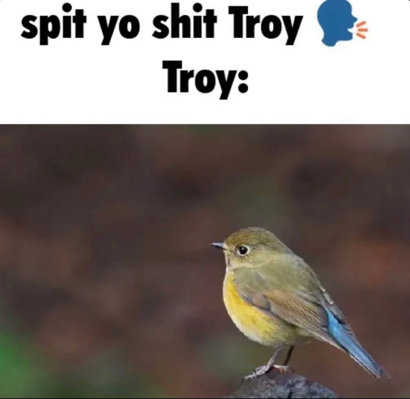 GitHub - 44ang3ls/TROY: spit yo shit troy 🗣: