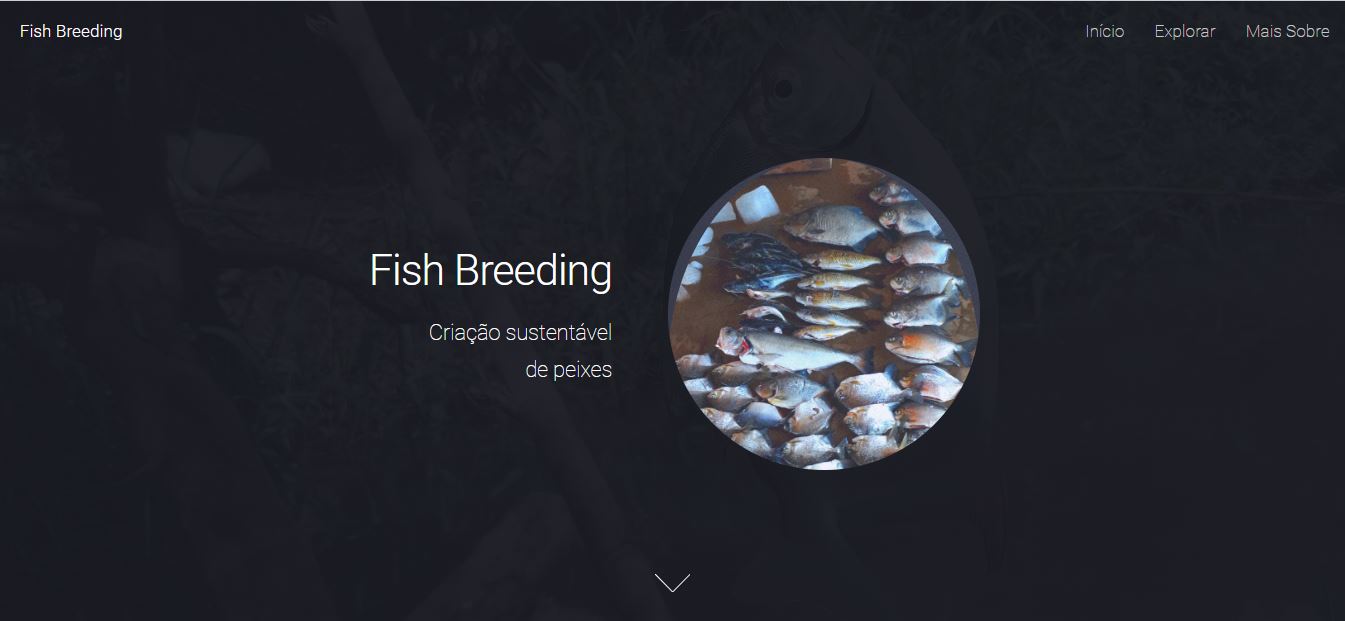 GitHub - milenaserrano/Fish-Breeding: Projeto criado em 2018 para um hobby do meu pai. (Todas as ...
