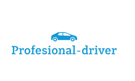 GitHub - malekbarakat/Profesional-driver: A web application that ...