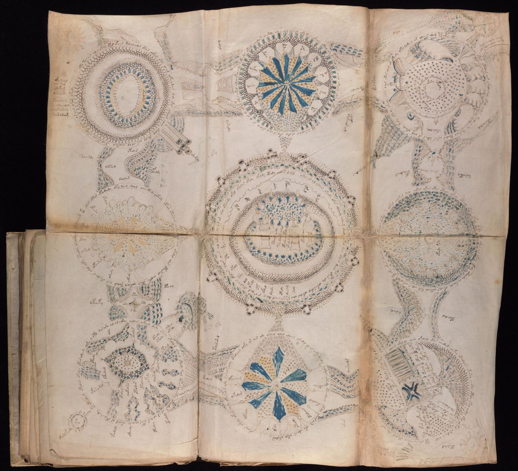 GitHub - hatonthecat/Voynich-Manuscript: Analysis, notes, resources ...