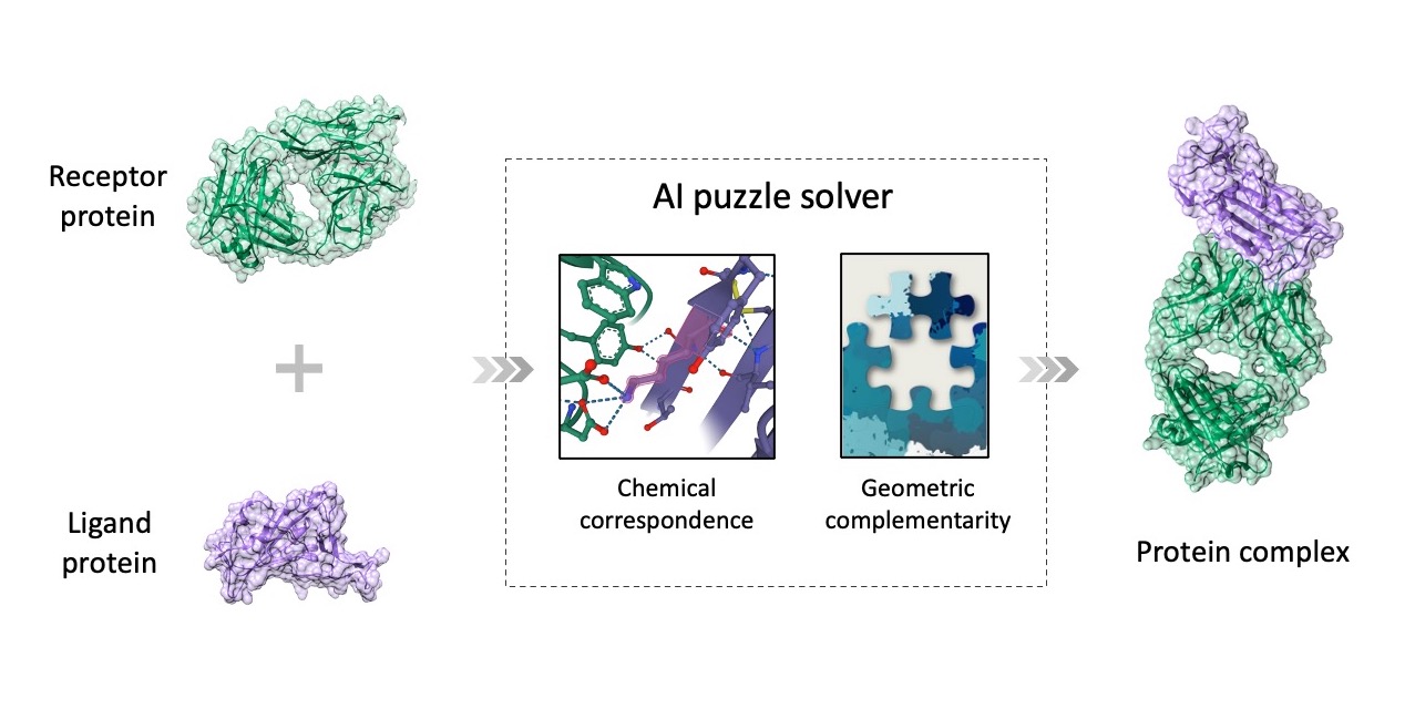 GitHub - bytedance/HMR: Learning Harmonic Molecular Representations on ...